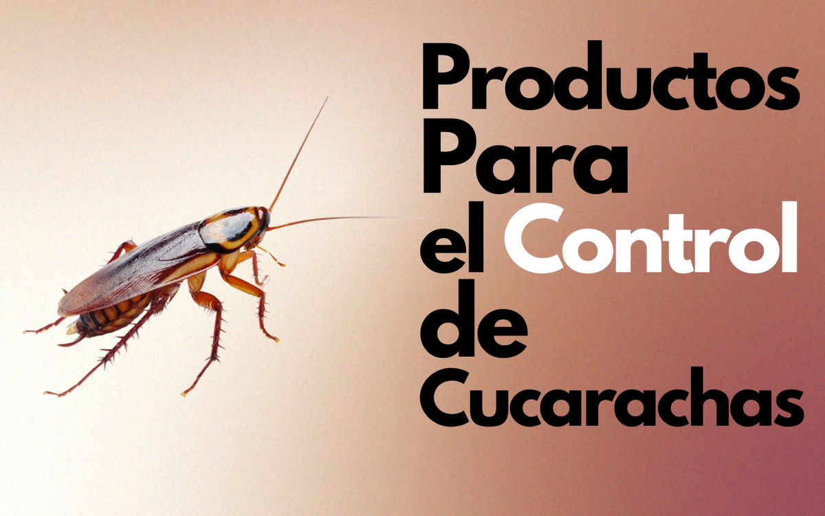 Productos Para El Control De Plagas De Cucarachas 9 Remedios Y
